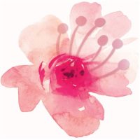 contact – simon chong